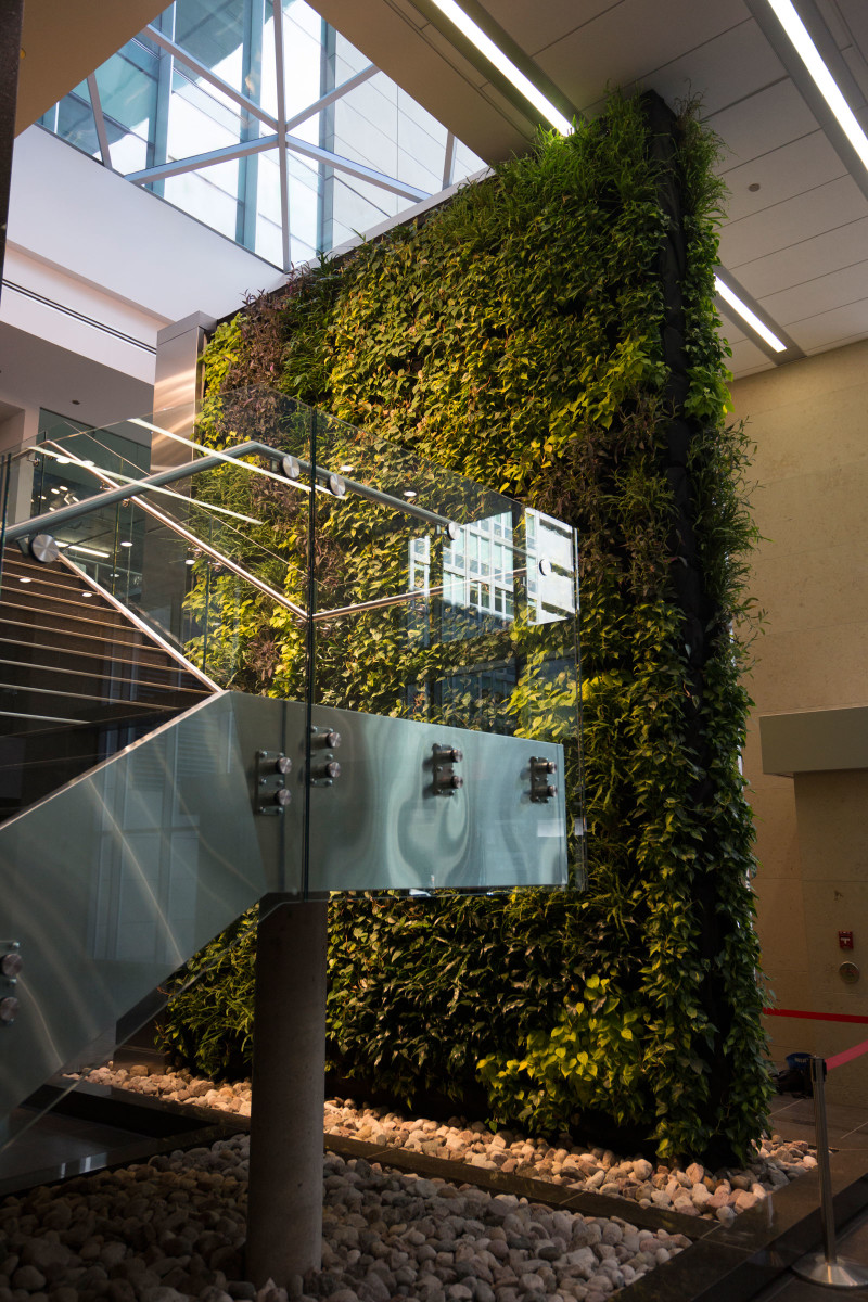 Jim Flaherty Building Vertical Garden - Gardens Ottawa